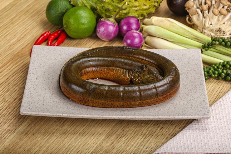 Eel - Englisch.net