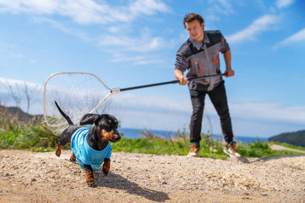 Dog Catcher - Englisch.net