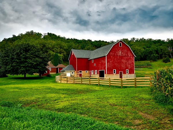 Farm - Englisch.net